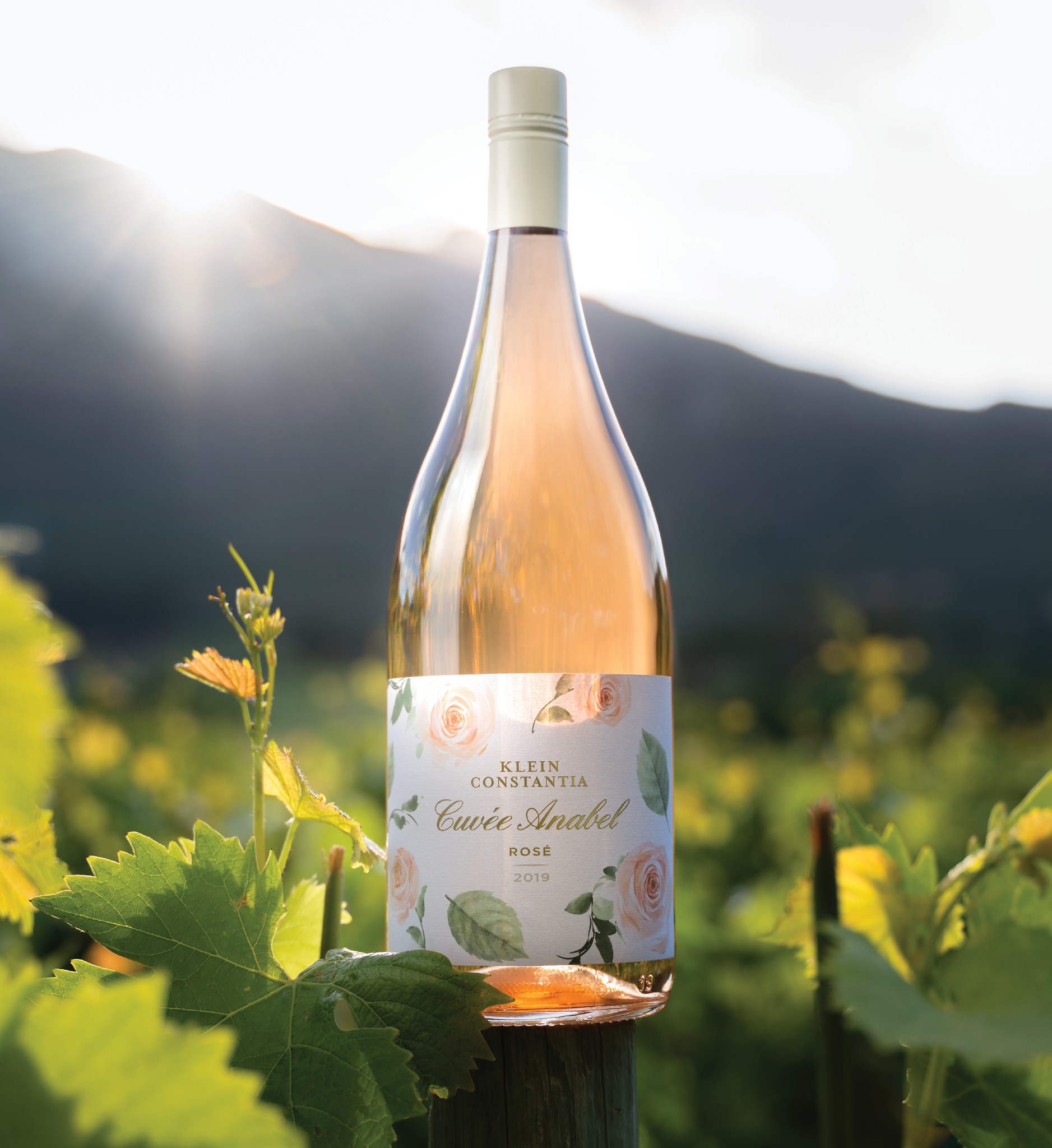 Cuvee Annabel Rose - Klein Constantia